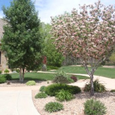 MB LANDSCAPING LLC - Project Photos & Reviews - Grand Junction, CO US ...