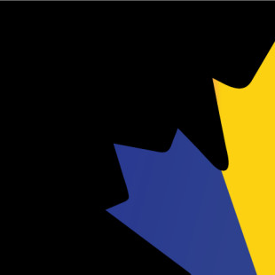 THE TILE GUY - Project Photos & Reviews - BRAMPTON, ON CA | Houzz