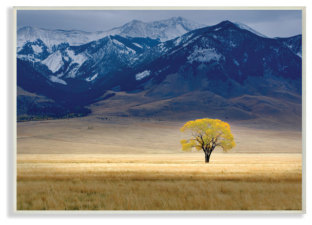 Open Range Landscape With Tree, Canvas, 10"x15" - Contemporary - Prints ...