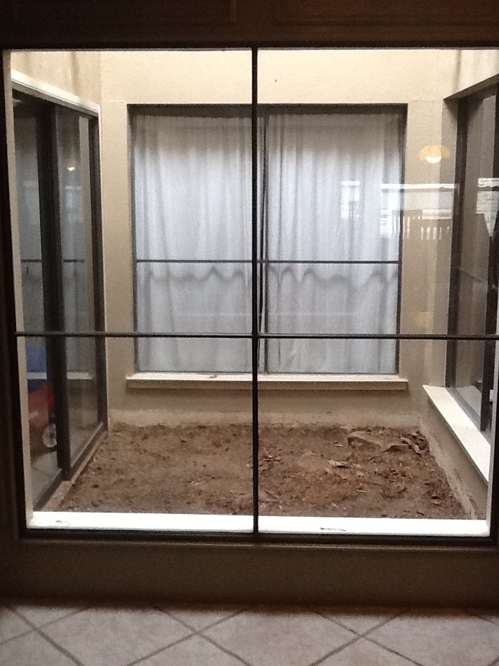 What to do with this atrium