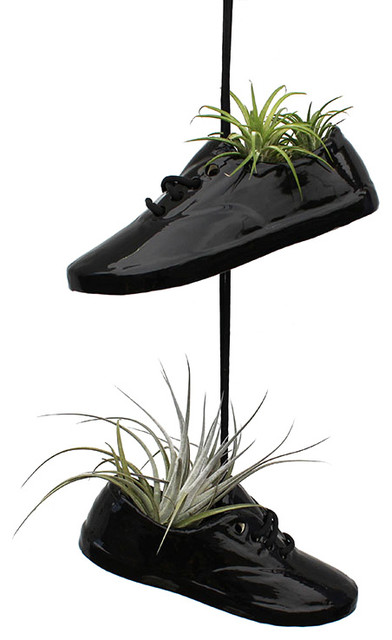 Black Pearl Shoe Pot - Contemporary - Indoor Pots And Planters - by ...