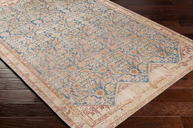 Iris IRS-2364 Area Rug, 2'6"x7'6" - Mediterranean - Hall And Stair ...