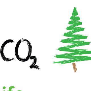 SAPLING LIFE ENVIRONMENTAL SERVICES - Project Photos & Reviews ...