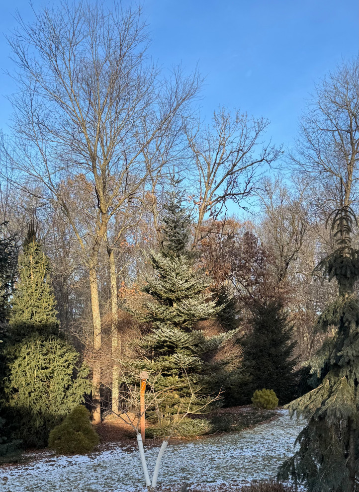 Winter Allstars | Houzz Forum