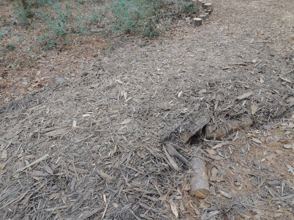 Tour a Romantic Cottage-Style Landscape in the Hamptons