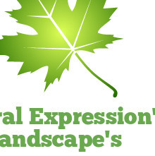 NATURAL EXPRESSIONS TREE AND LANDSCAPING - Project Photos & Reviews ...