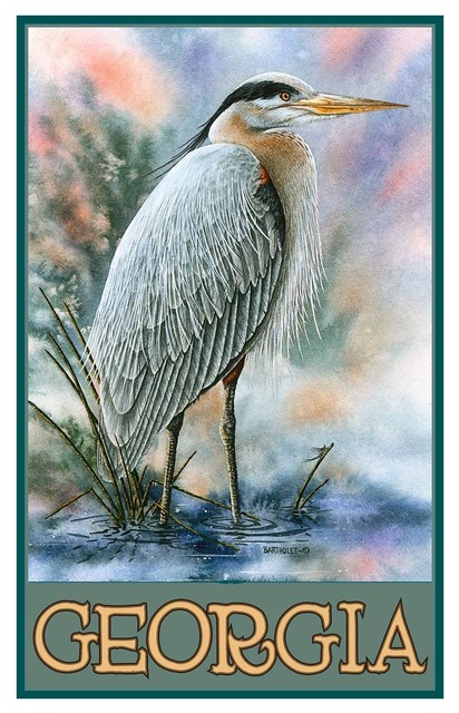 by Artist Dave Bartholet Georgia Blue Heron Art Print, 30"x45 ...