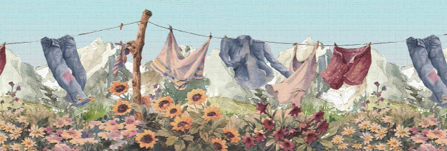 Washing Line Peel and Stick Wallpaper Border 15'x7", Roll 15 ft. x 7 in ...