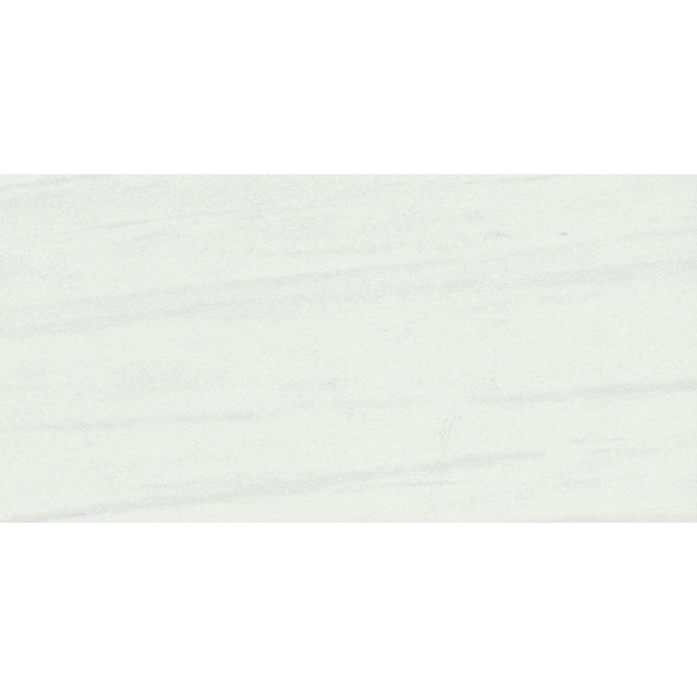 Aurora Polished 24"x48" Modern Tile, 24X48 - Contemporary - Wall And ...