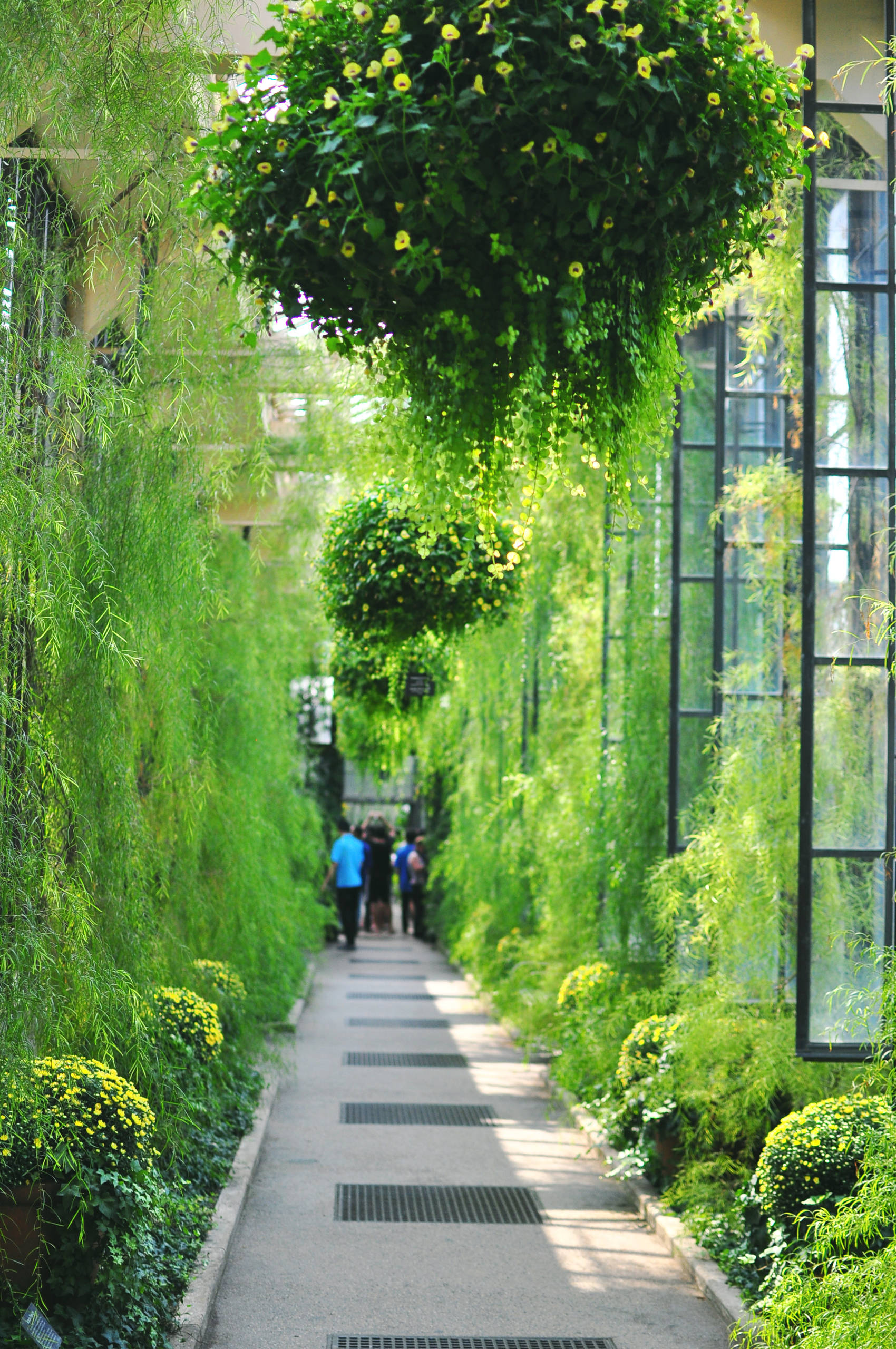 Mix and Match Greens in Design