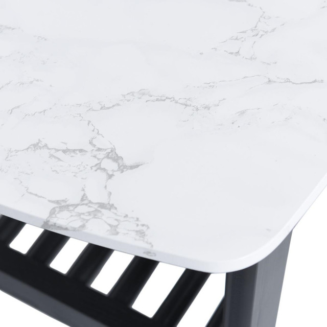 Birchwood Coffee Table, Faux White - Transitional - Coffee Tables - by Lighting New York | Houzz