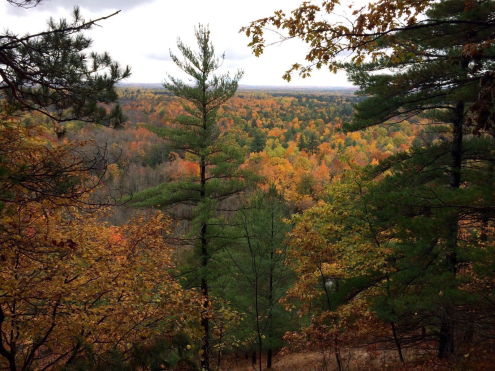 These Spectacular Views of Fall Foliage Will Lift Your Soul