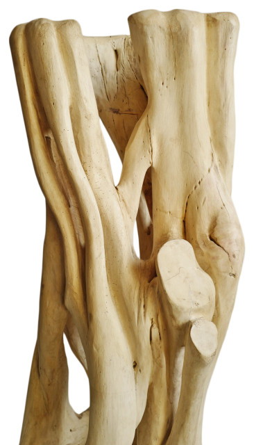 Large Free Form Tree Vine - Beach Style - Decorative Objects And ...