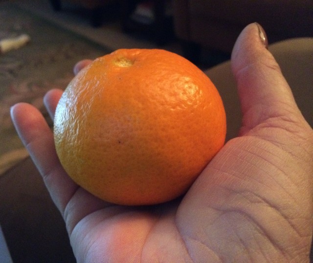 First Citrus of the Season = Primosole Mandarin