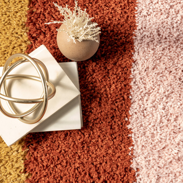 nuLOOM Ela Half Rainbow Shag Area Rug, 2'6"x6' - Contemporary - Hall ...