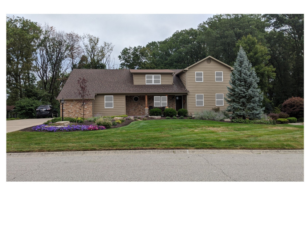 No grids or grids in double hung windows?