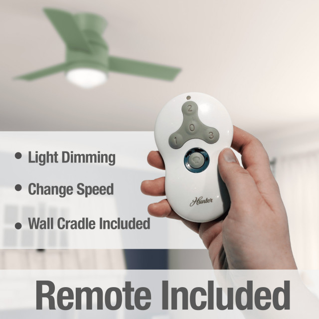 Hunter 44" Dublin Ceiling Fan, Dusty Green With LED Light and Handheld ...