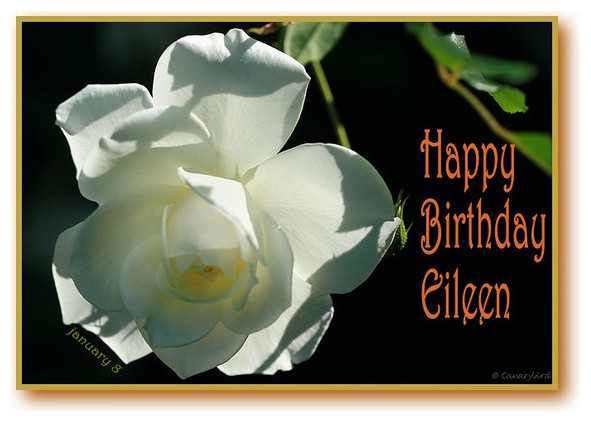 Happy Birthday Eileen! (Barnmom)