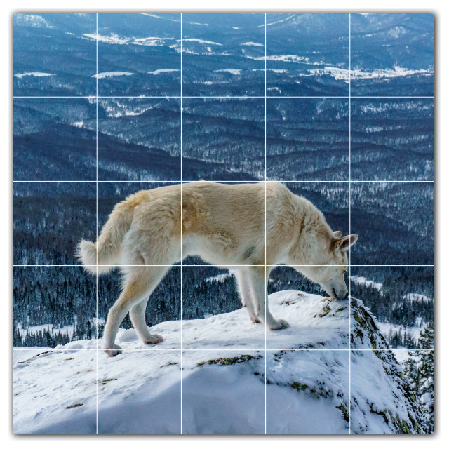Wolf Ceramic Tile Wall Mural HZ501243, 40" Wide x 40" High - Rustic ...