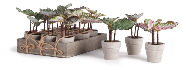 Mini Begonias 5.5" Potted, Set Of 12 - Contemporary - Artificial Plants ...