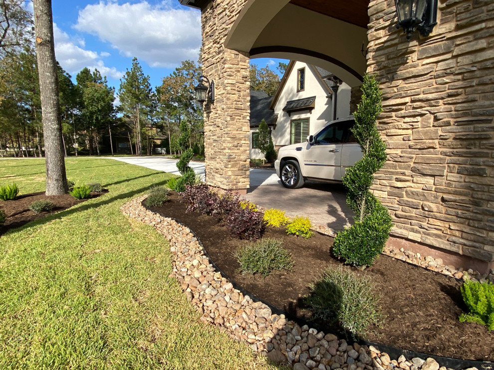 These Spiral Emerald Colonnade Hollies add a nice "twist" to the ...