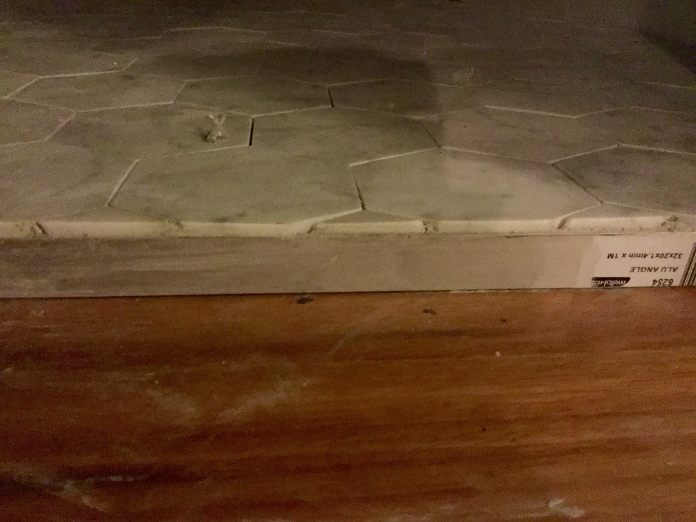Help! Urgent advice on bathroom tile to hallway threshold transition ...