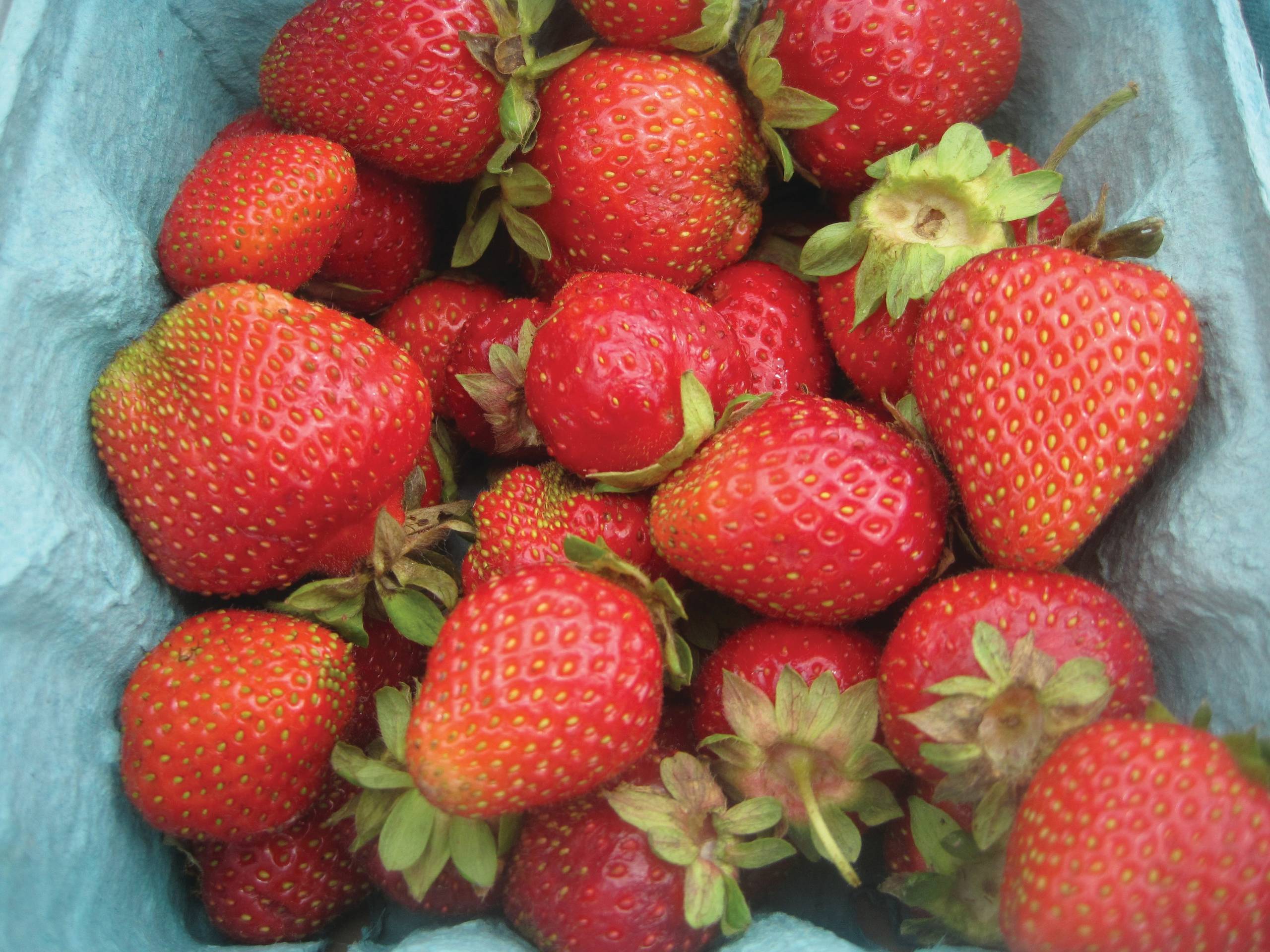 8 Delicious Strawberry Varieties to Grow at Home