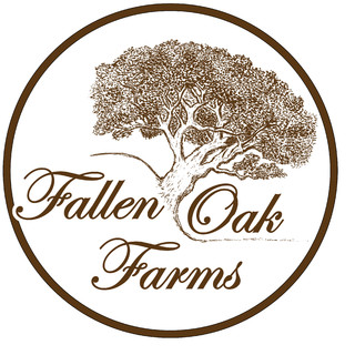 FALLEN OAK FARMS - Project Photos & Reviews - Valrico, FL US | Houzz