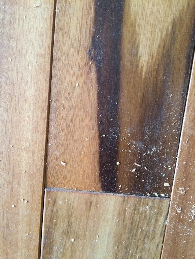 Bad floor or bad installation?