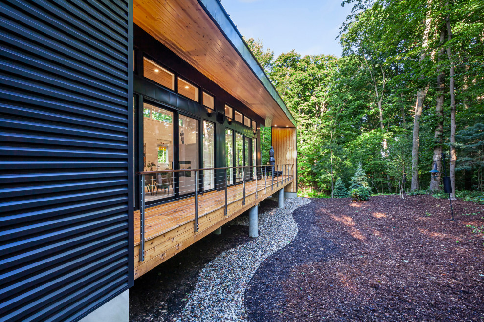 Bridge House - Midcentury - Exterior - Grand Rapids - by HAUS ...