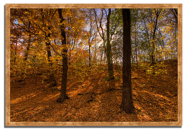 "Sun Spackled Wood", Framed Photograph Print, Ready to Hang, 32"x22 ...
