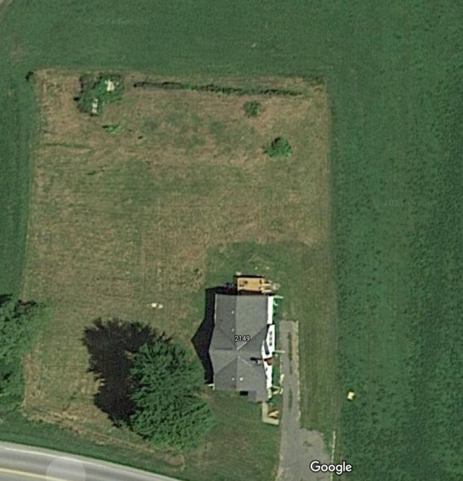 Ornamental, barrier, & fruit tree recommendations?