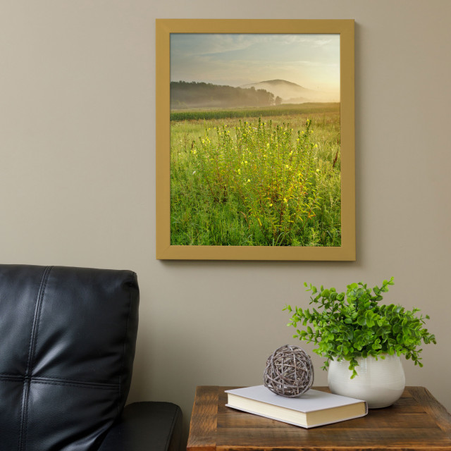 Bold Legacy .75" Frame, 8"x8" - Transitional - Picture Frames - by ...
