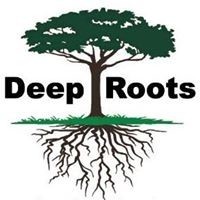 DEEP ROOTS LANDSCAPING AND PROPERTY MAINTENANCE - Project Photos ...