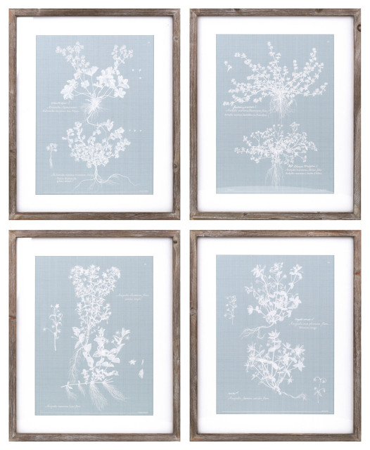 Framed Floral Print, 4-Piece Set - Contemporary - Prints And Posters ...