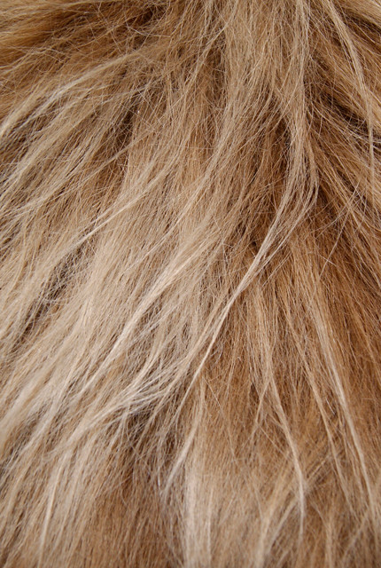 Natural Home Decor Icelandic Sheepskin Single Long-Haired Rug, 1-Piece ...