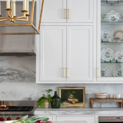 LYNN HOLENDER DESIGNS - Project Photos & Reviews - Houston, TX US | Houzz