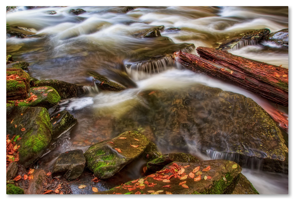 Bob Rouse 'Trout Branch 6' Canvas Art, 30"x47" - Rustic - Prints And ...