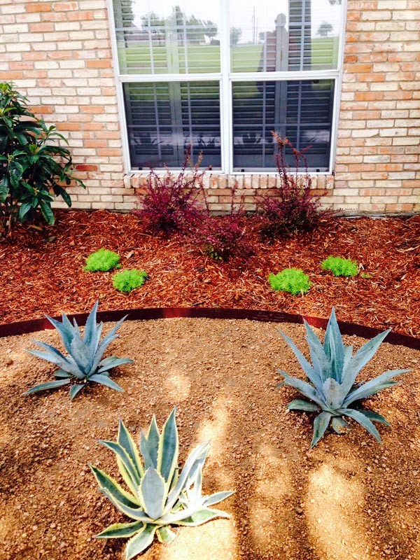 Xeriscape - Traditional - Dallas - by Absolutely Bushed Landscaping | Houzz