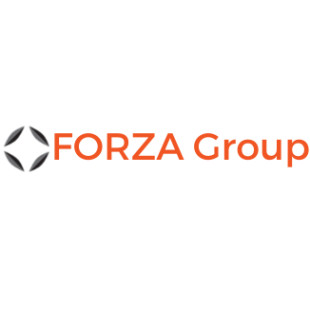 FORZA GROUP - Project Photos & Reviews - Peachtre City, GA US | Houzz