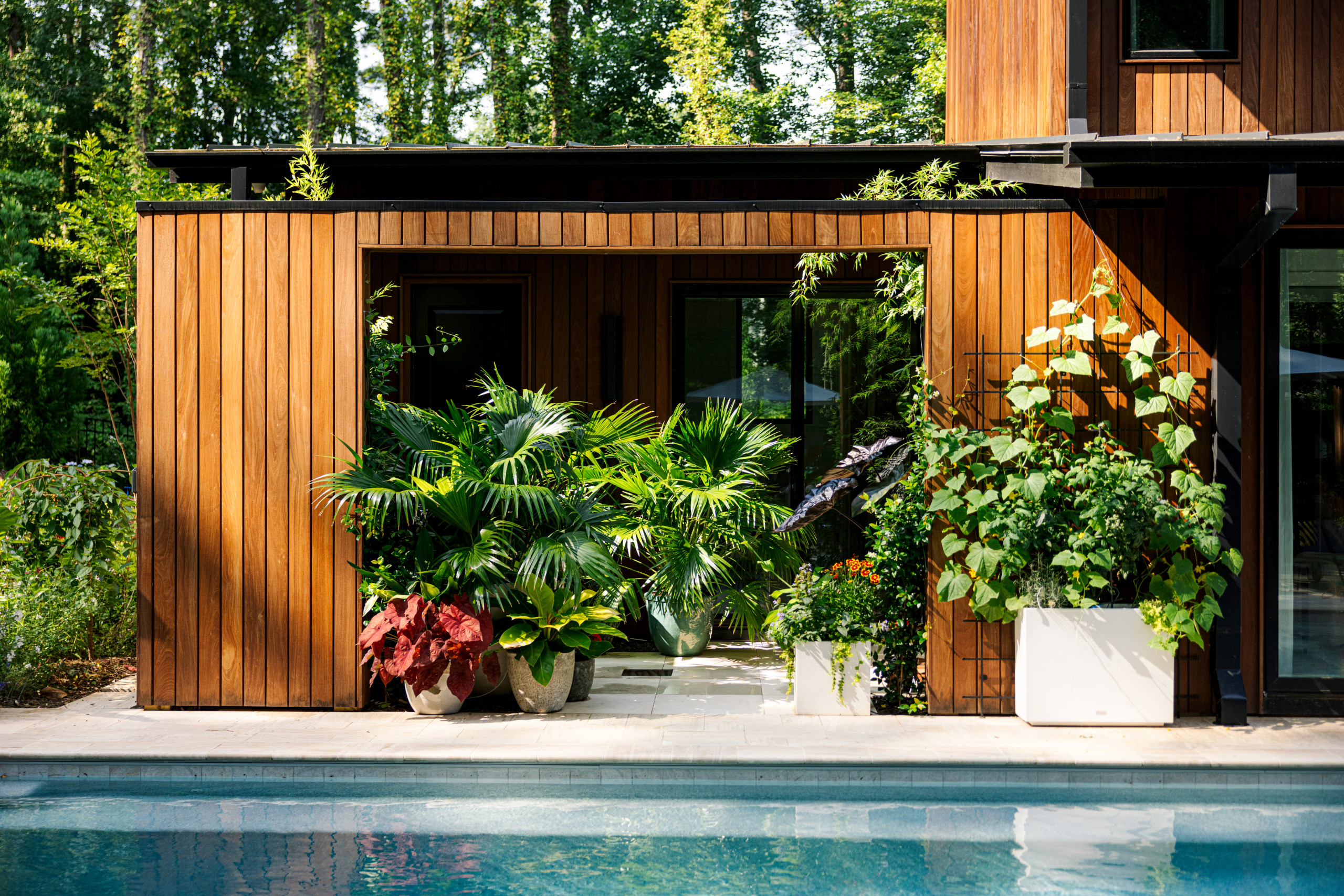 Backyard Resort