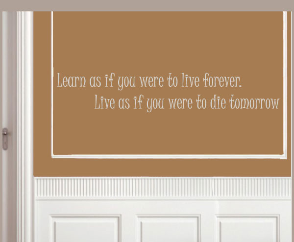 Learn as if Vinyl Wall Decal classroomquotes13, 42 in. - Contemporary ...