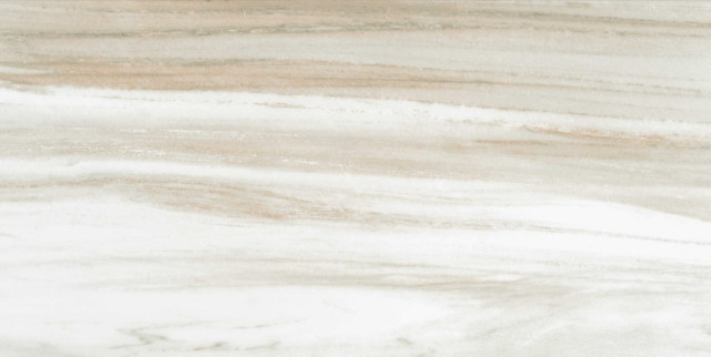 Stylish Taupe Porcelain Tile, 12"x24" Sample - Contemporary - Tile - by ...