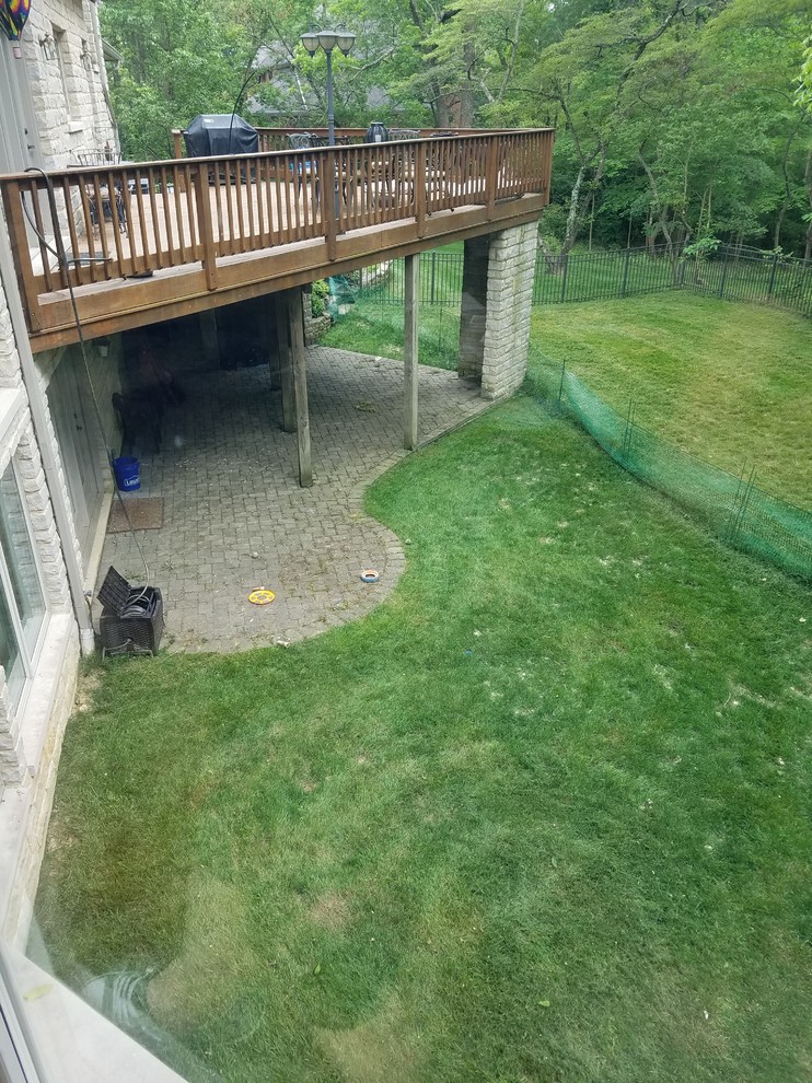 Muddy Backyard and Dogs- Ground Level Deck vs. Patio??