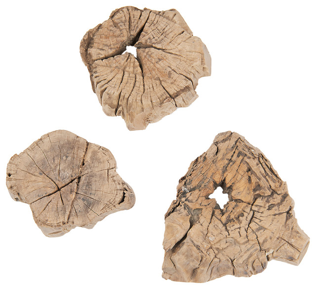 Teak Root Wall Art - Rustic - Wall Accents - by Best Home Fashion | Houzz