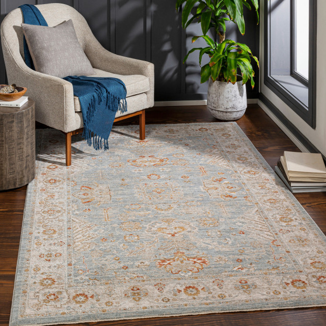 Surya Avant Garde Rug 10'x14', Denim, Sage - Mediterranean - Area Rugs ...