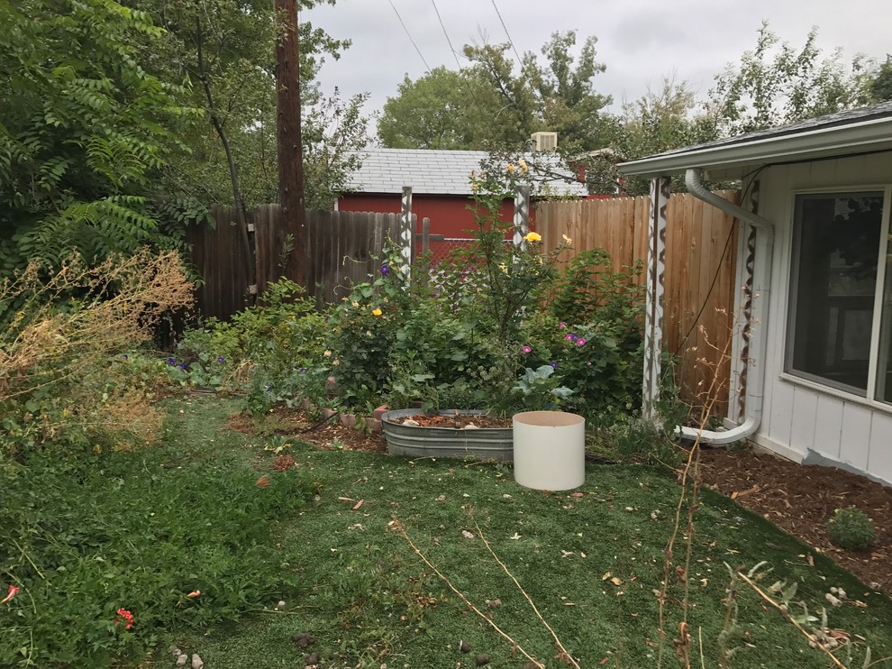 Backyard Disaster | Houzz Forum