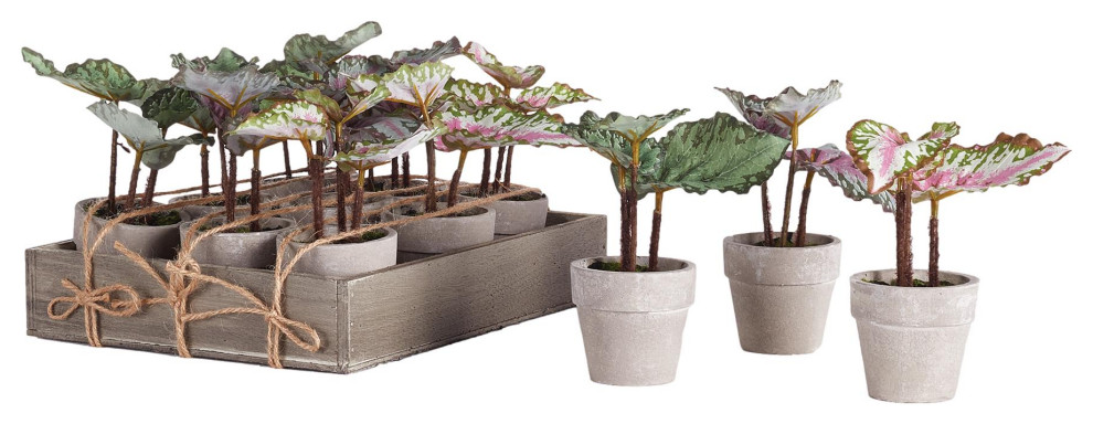 Set 12 Mini Begonia Faux Floral Plants in Pots Rustic Gift Purple Green ...