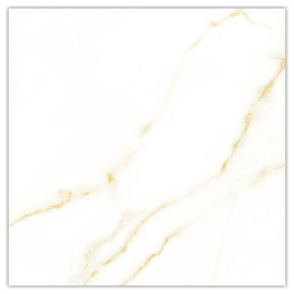Emotion Calacatta Oro Polished 24x24 Porcelain Tile - Traditional - Wall And Floor Tile - by ...