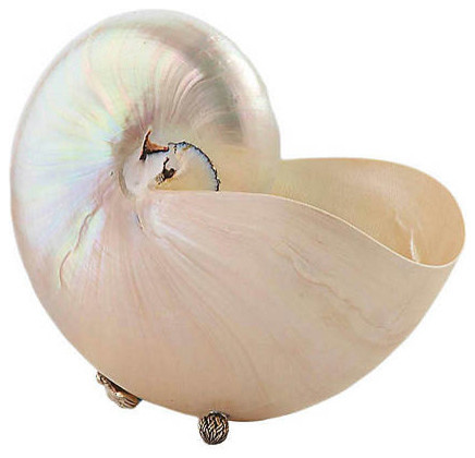 Seven inch White Nautilus Shell with Sterling Silver feet - Beach Style ...